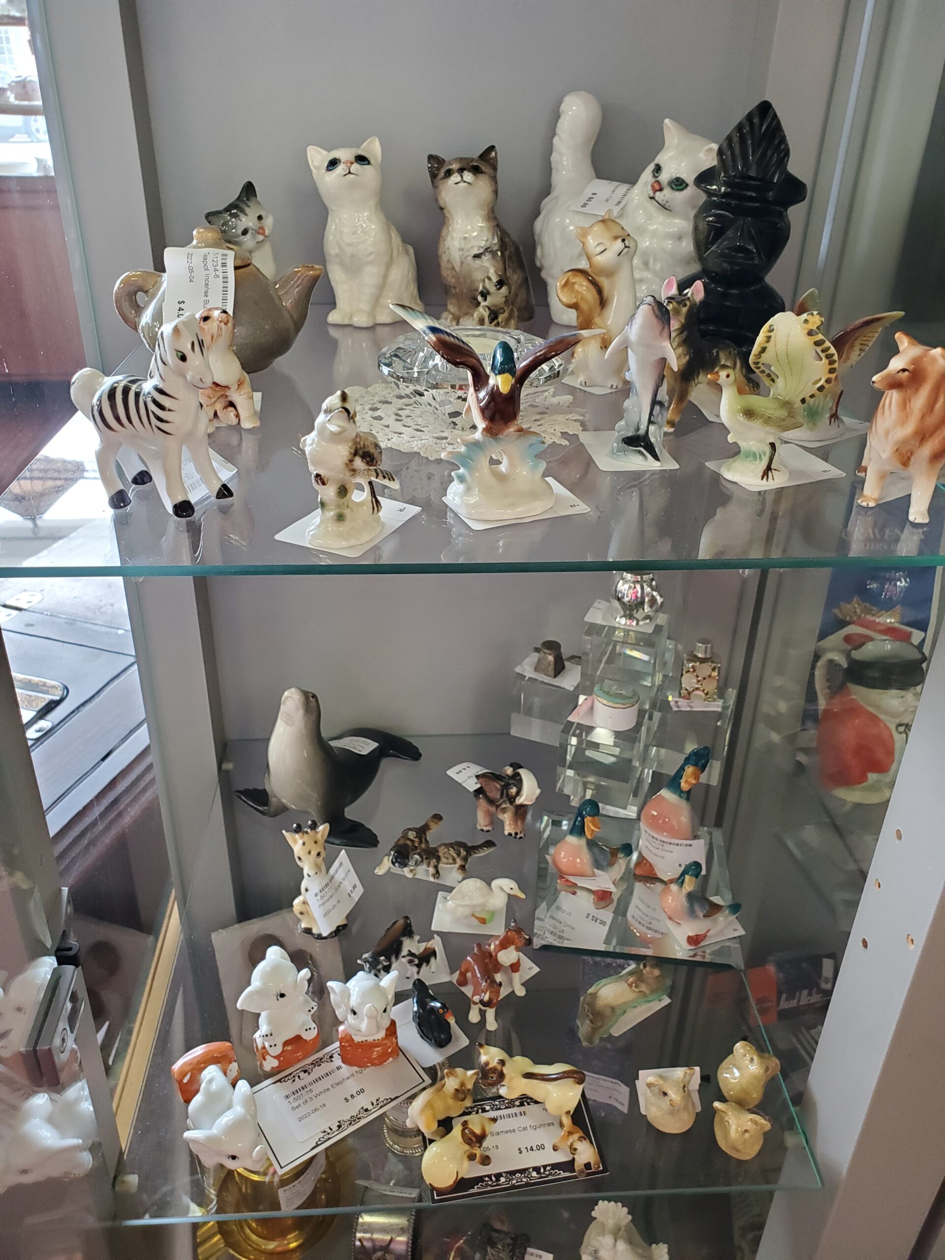 Collectables – Taste of Time